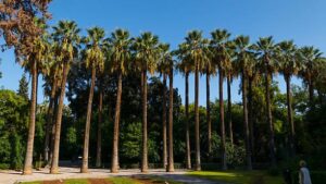 Athens Botanical Gardens